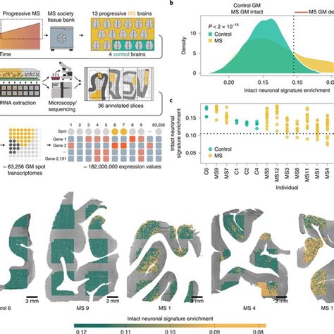 Spatial Transcriptomics Enables Continuous Tracking Of Download