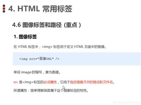 【html教程】web前端入门学习 html5（1） web前端设计基础张树明著课后练习题答案 csdn博客