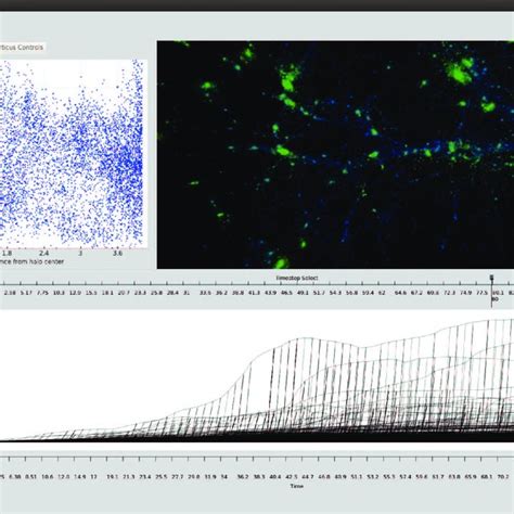 A Rendering Of The Full Particle Data Colored According To Velocity Download Scientific Diagram