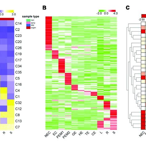 K Means Clustering Reveals Unique Tissue Andor Stage Specific Download Scientific Diagram