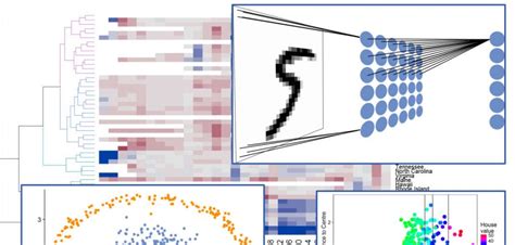 Data Science Courses Insight Risk Consulting