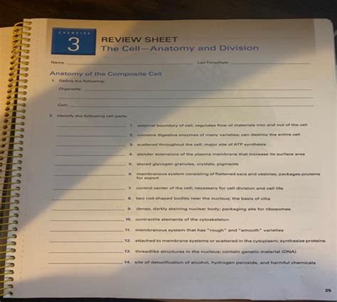 Solved EXERCISE REVIEW SHEET The Cell Anatomy And Division Name Lab Answer
