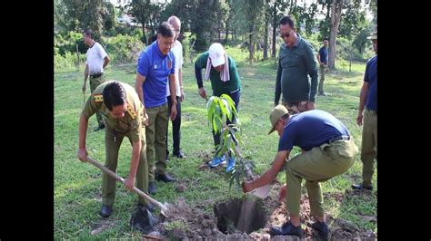 ໂຮງຮຽນ ປກສ ຊັ້ນຕົ້ນເລກ 04 ສ້າງຂະບວນການປູກຕົ້ນໄມ້ Youtube