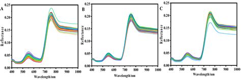 Rapid Nondestructive Detection Of Chlorophyll Content In Muskmelon Leaves Under Different Light