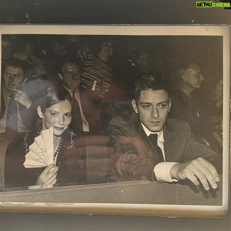 Sienna Guillory Most Liked Photos And Posts Gethu Cinema