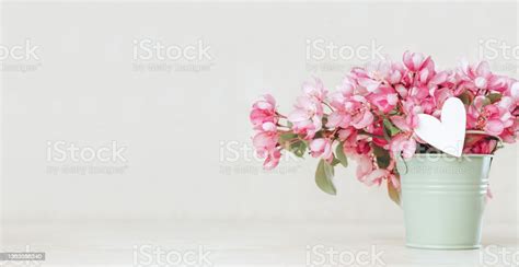 파스텔 배경에 작은 올리브 양동이 꽃병에 봄 꽃 나뭇가지와 흰색 마음 3월에 대한 스톡 사진 및 기타 이미지 3월 4월 5월 Istock