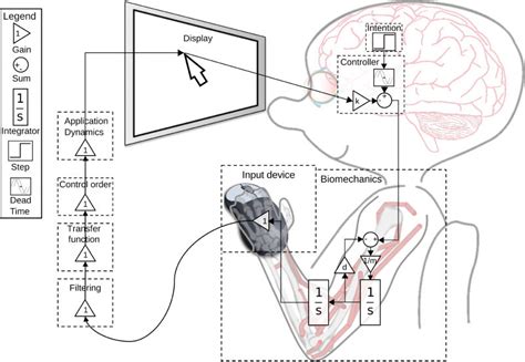 General Control Theoretic Framework For Continuous Human Computer Download Scientific Diagram
