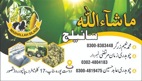 ایم ایس سائیلج