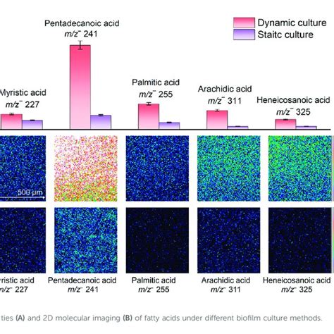 Spectral Overlay Comparison Between Dynamic And Static Cultures In The Download Scientific