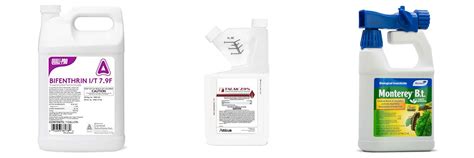 Top 5 Sprays For Army Worms Your Best Defense