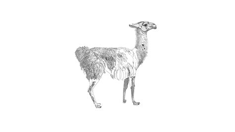 Perlモジュールインストール時の選択を自動化 Complex Life