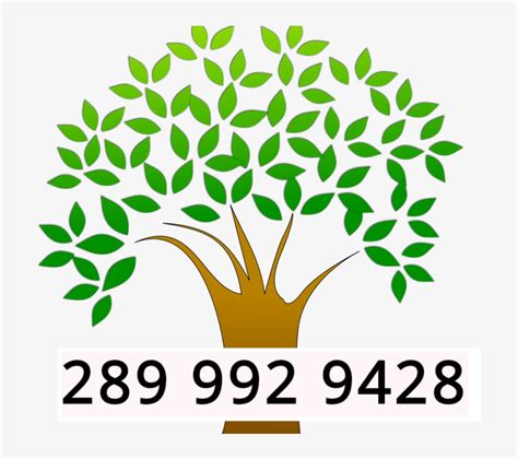 20 Off Tree Removal Tree Logo Vector Png Free Transparent PNG Download PNGkey