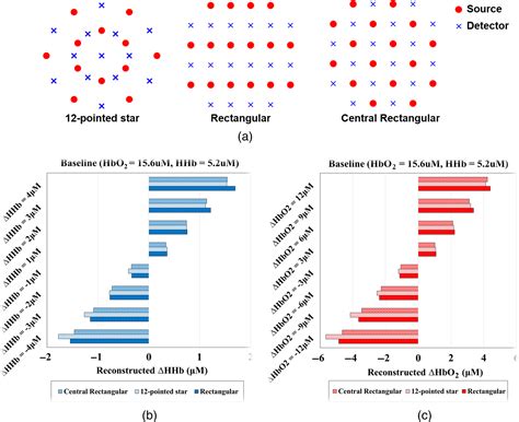 High Optode Density Wearable Diffuse Optical Probe For Monitoring Paced Breathing Hemodynamics