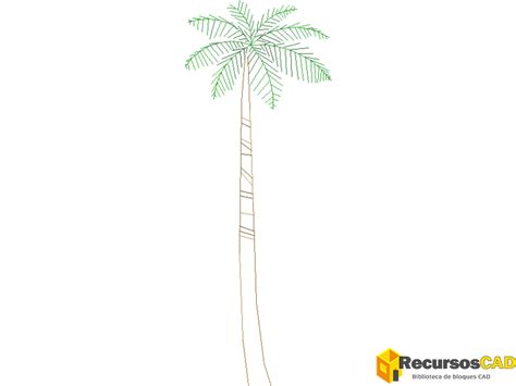 Descargar Bloques Dwg De Palmeras Árboles Hierbas Y Arbustos A Color