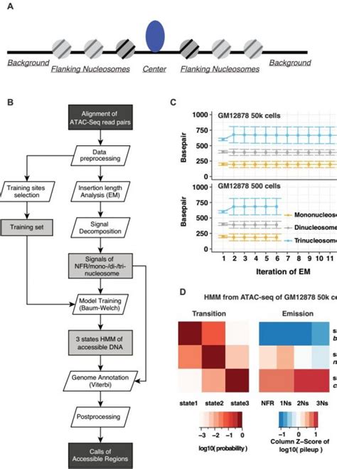 前沿针对于ATAC seq开发的分析工具 百迈客生物
