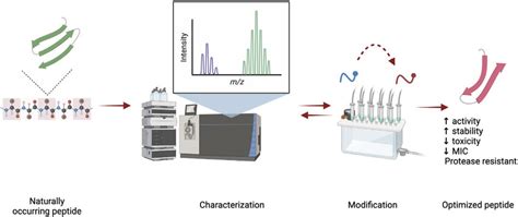 traditional process employed for peptide design and function