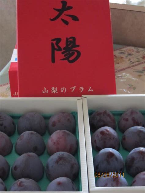 大きな太陽 kurakura1944のブログ