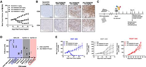 Jnj 78306358 A First In Class Bispecific T Cell Engaging Antibody Targeting Cd3 And Hla G Iscience