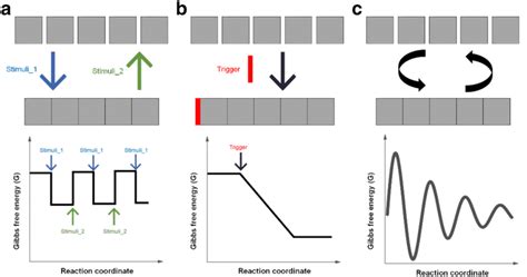 Three Models Of Dynamic Self Assembly And Their Gibbs Free Energy Download Scientific Diagram