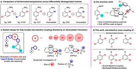 Systematic Variation Of Ligand And Cation Parameters Enables Site Selective CC And CN Cross