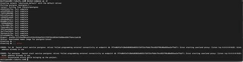 Hackingmd Instructions Do Not Work In Multipass · Issue 8068 · Canonical · Github