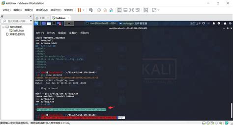 bugku source（小宇特详解） bugku source csdn博客