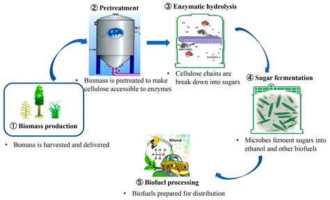 Process Flow Diagram Of Thermal Triglyceride Hydrolys Vrogue Co