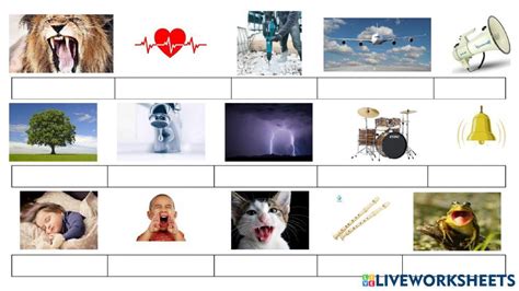 2286135 Dynamics Pamelachie0796 Liveworksheets