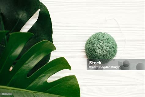 Monstera 녹색 잎과 하얀 나무에 자연 환경 친화적인 Konjaku 스펀지 제로 폐기물 개념입니다 에코 제품 플라스틱