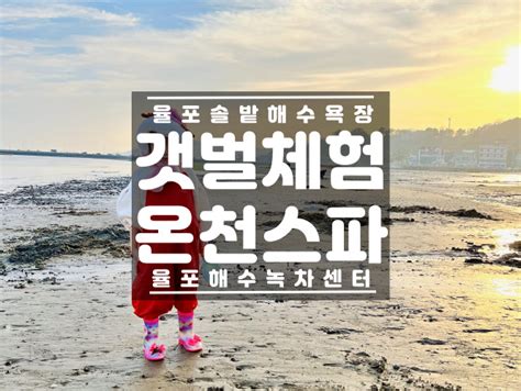 보성 아이랑 가볼만한 곳 율포솔밭해수욕장 갯벌체험 율포해수녹차센터물때확인하는방법 네이버 블로그