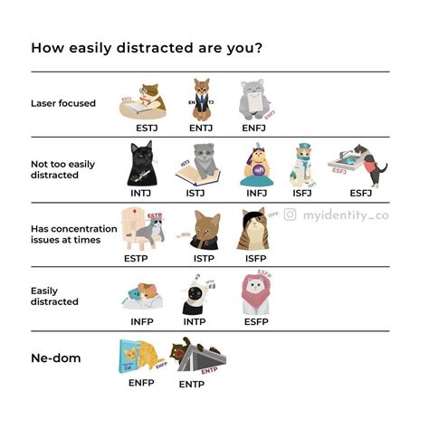 How Easily Distracted Are The Mbti Types