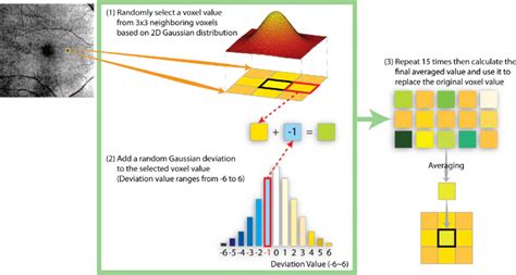 Processing Flow Of Virtual Averaging 1 For Each Sampling Voxel The Download Scientific