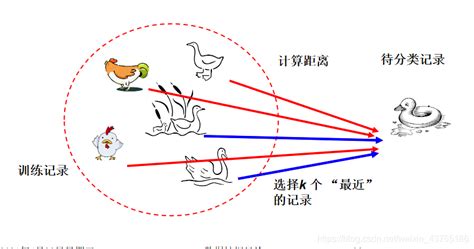 knn模型在分类和回归任务中超级详细介绍，以及具体knn运用实例 csdn博客