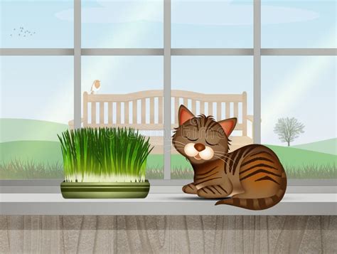 Catnip Stock Vector Illustration Of Plate 18th Educational 62655936