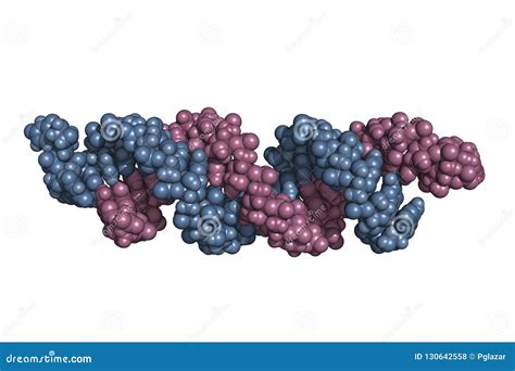 Sirna Mrna Interaction Stock Illustration Illustration Of Chemistry 130642558