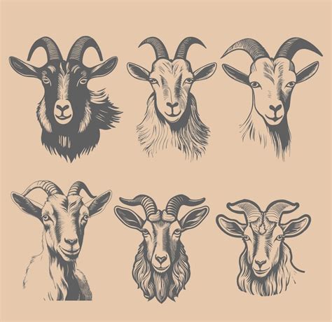 Premium Vector Vintage Goat Head Vector Set