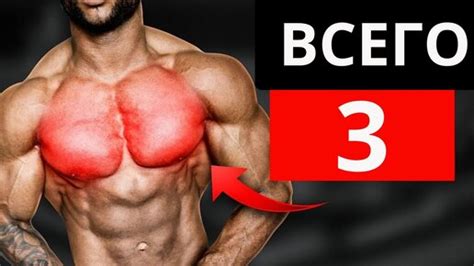 3 упражнения для МАССИВНЫХ грудных мышц Томаш Игорь Pro Training Дзен