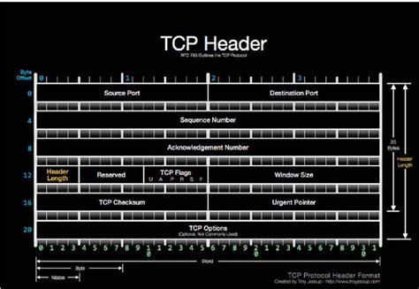 Tcp Vs Udp Header Information Tcp Vs Udp Header Information