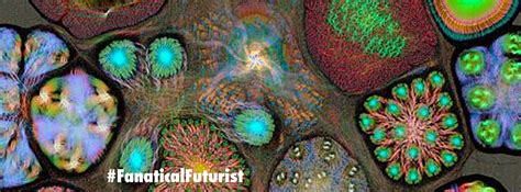 Revolutionary AI Chip That Replaces GPU S Hailed As The Future By ARM S Founder 311 Institute