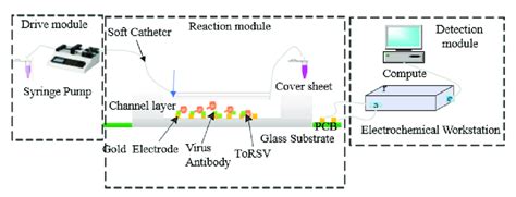 Schematic Diagram Of The Microfluidic Impedance Detection System Download Scientific Diagram
