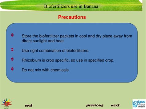 Ppt Biofertilizer Use In Banana Powerpoint Presentation Free
