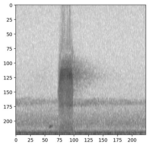 Preprocess Audio Samples — Opensoundscape 0110 Documentation
