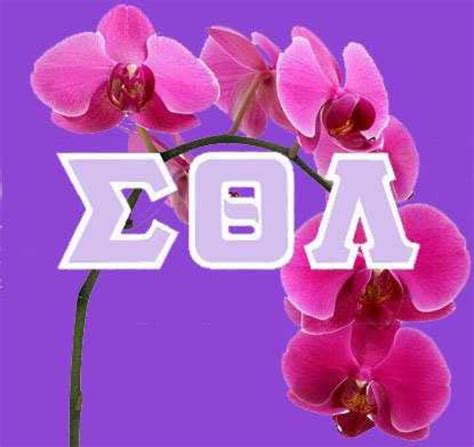 Sigma Theta Lambda Sigma Theta Lambda
