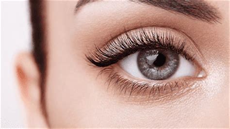 Cabinet Minister Dr Baljit Kaur Will Conduct Eye Check Up Camp