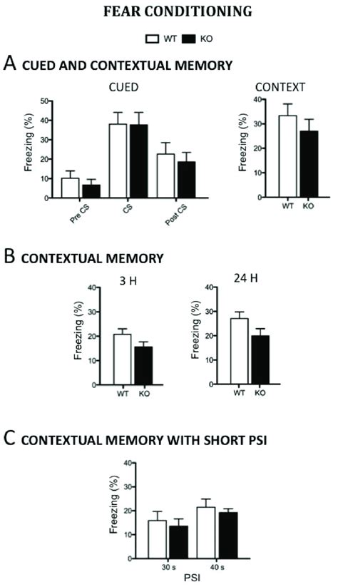 Normal Fear Conditioning In The Dcx Ko Mice Acued And Contextual