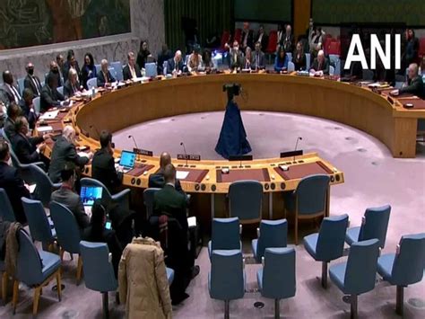 Pace Of Unsc Reform Very Frustrating Council President