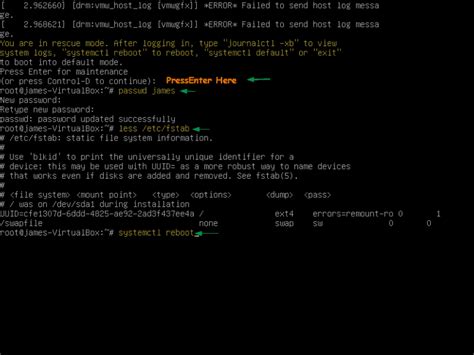 how to boot linux mint 20 in rescue emergency mode