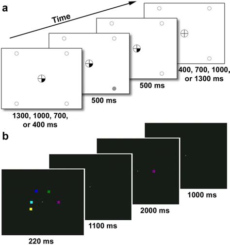 Components Of A Trial In The Spatial Attentional Resource Allocation