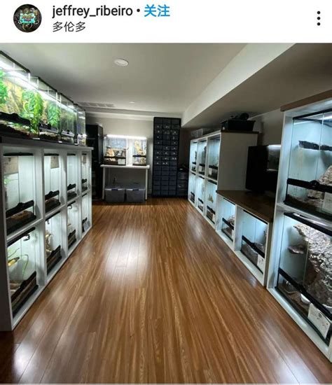 美图 Ins上随手搜的爬房和爬缸 Reptilestar