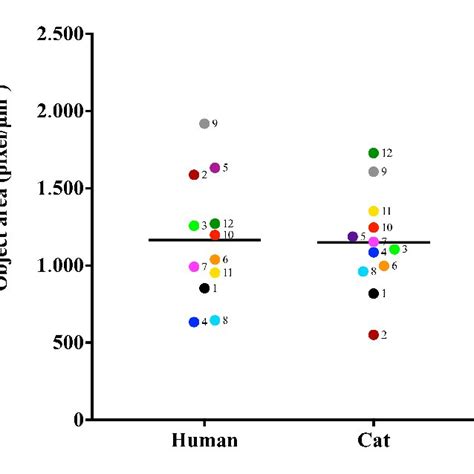 Scanning Electron Microscopy Sem Image Of S Brasiliensis Yeasts 6h Download Scientific